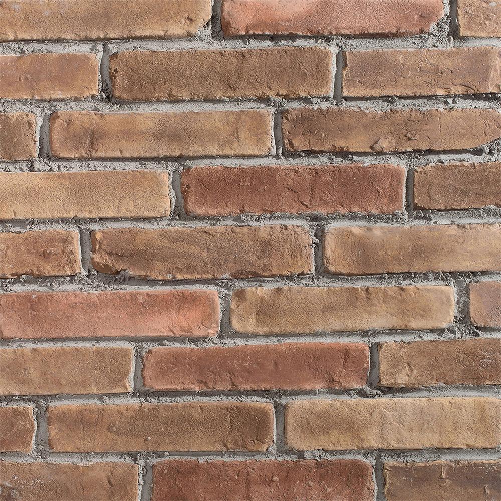 Bastogne 2x10 Thin Brick Veneer | ARTO.com