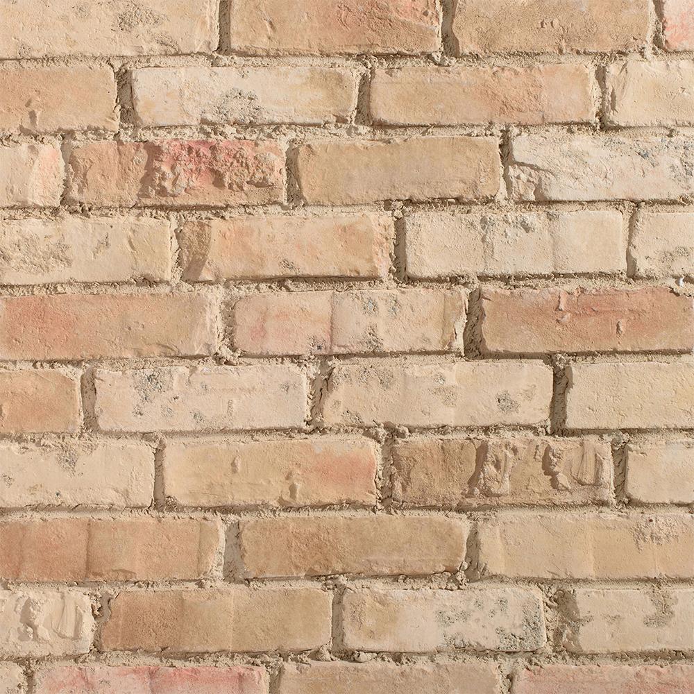 Bastogne 2x8 Thin Brick Veneer | ARTO.com