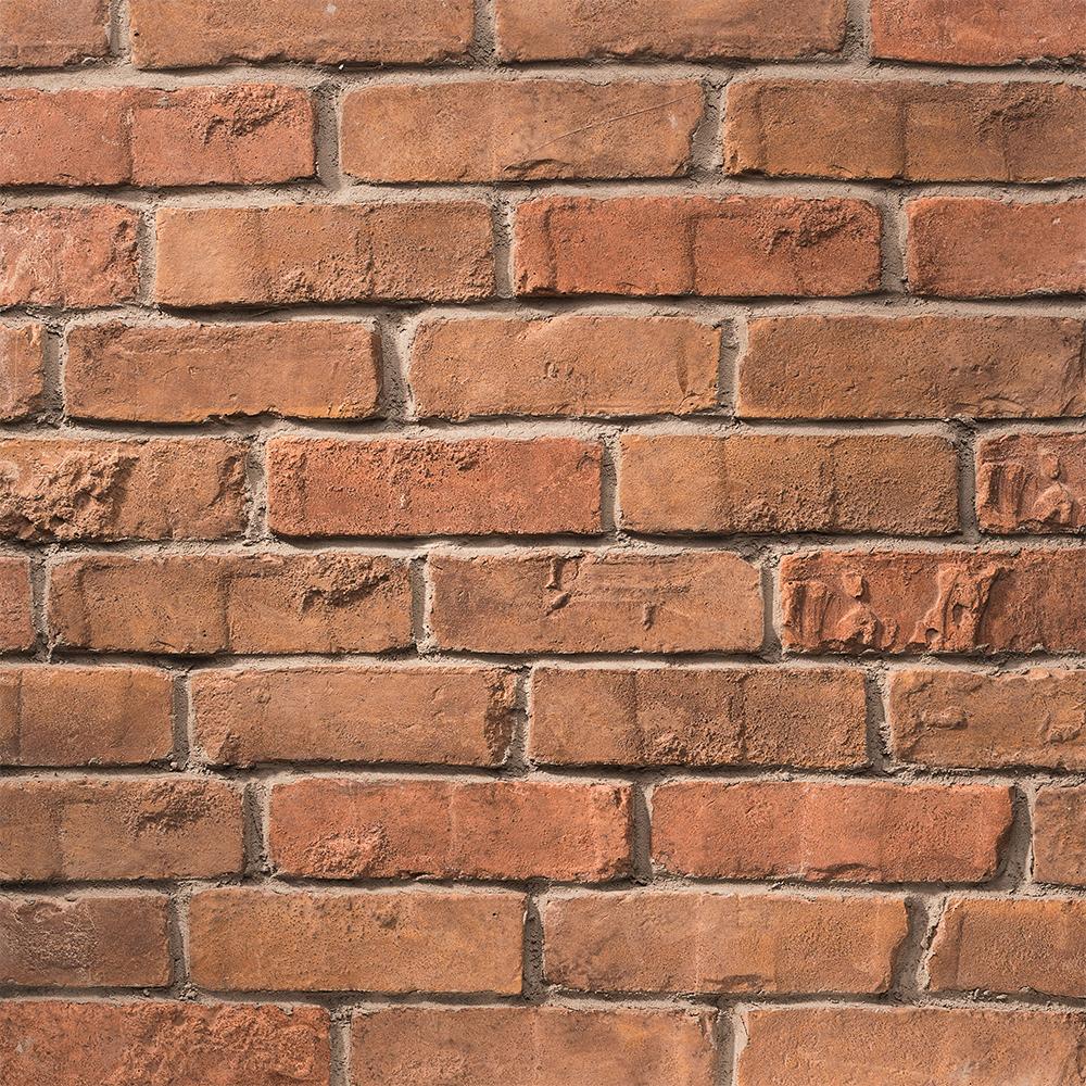 Bastogne 2x8 Thin Brick Veneer | ARTO.com