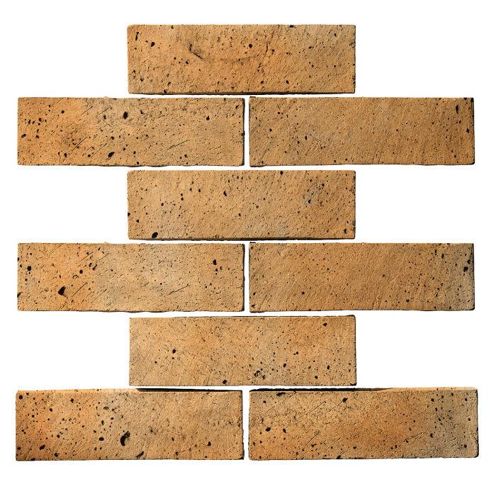 Norman 3x11 Thin Brick Veneer | ARTO.com