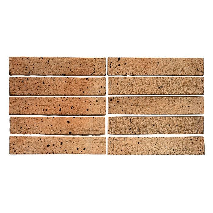 University 2x11 Thin Brick Veneer | ARTO.com